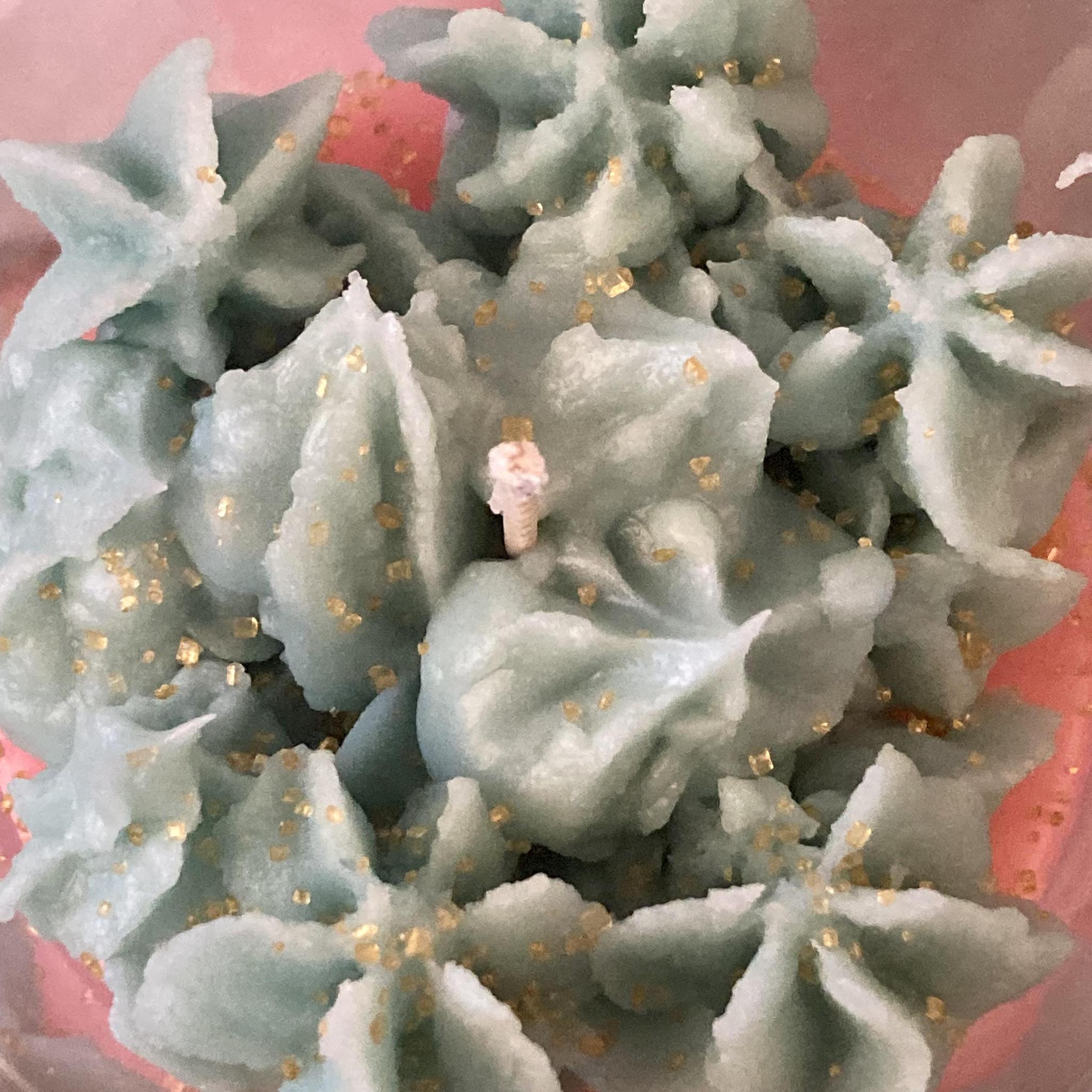 Leora's Candle Collection | Cactus & Jade Desert – Golden Gait Mercantile